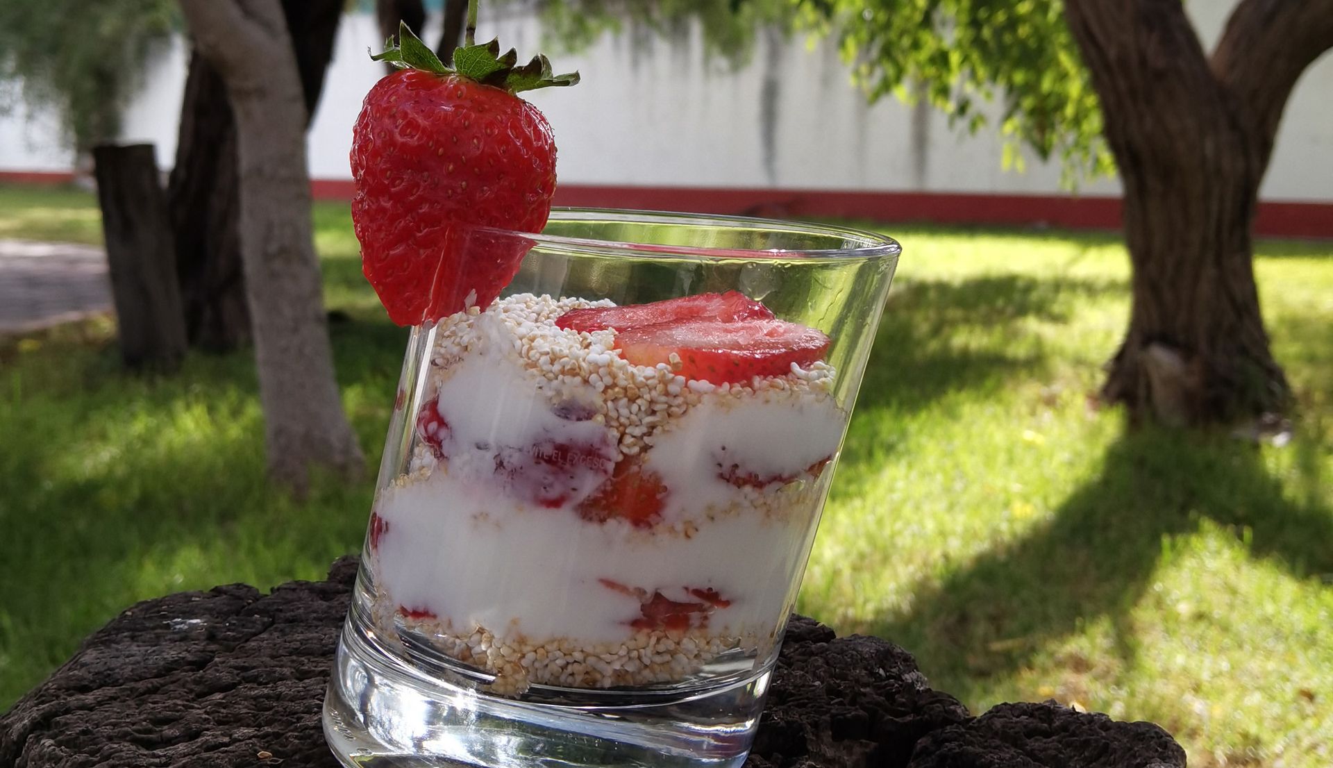 Postres | QUALI Alimentos Nutritivos de Amaranto